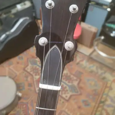 Widman Electric 5-String Banjo - Custom | Reverb