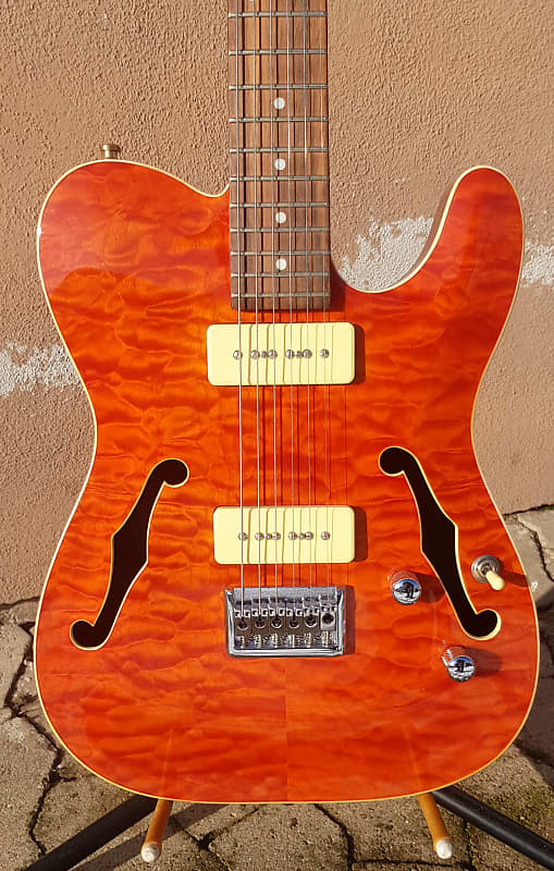 Telecaster F-hole 2010er semi-hollow | Reverb
