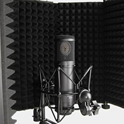 TASCAM - TM-AR1 - Microphone Acoustic Reflection Control | Reverb