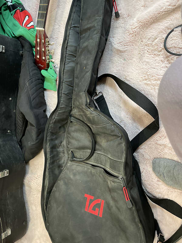 TGI TGI 4315 Padded gig bag | Reverb