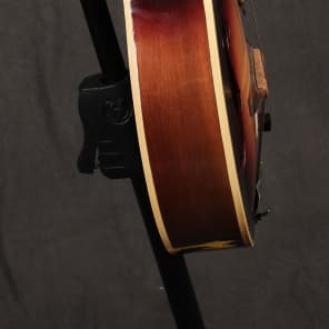 Vintage Lindell Mandolin(Electric) | Reverb