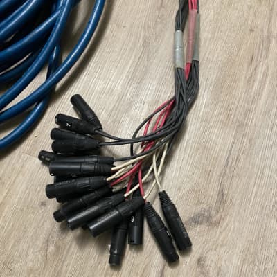 Whirlwind Medusa 16 Channel Snake Cable 100ft 2000’s - Black | Reverb