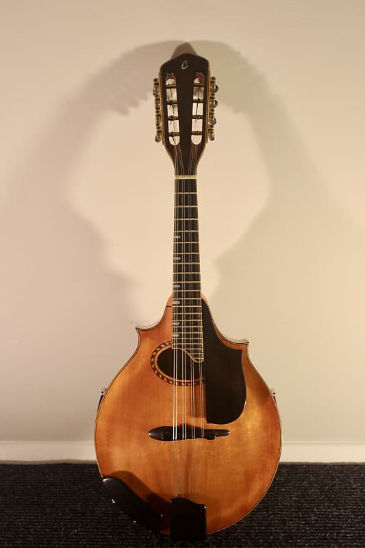 David Cohen Mandolin 2015 | Reverb