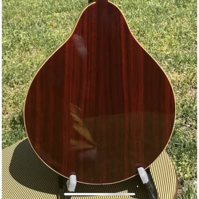 Beard Instruments Celtic mandolin #28 2010-2020 - Gloss | Reverb