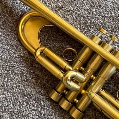 Trompeta Monette ¨RAJA¨ - GOLD PLATE, Excelente Estado | Reverb