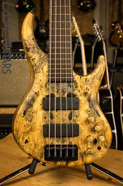 MTD 535-24 Buckeye Burl Bass Guitar | Reverb