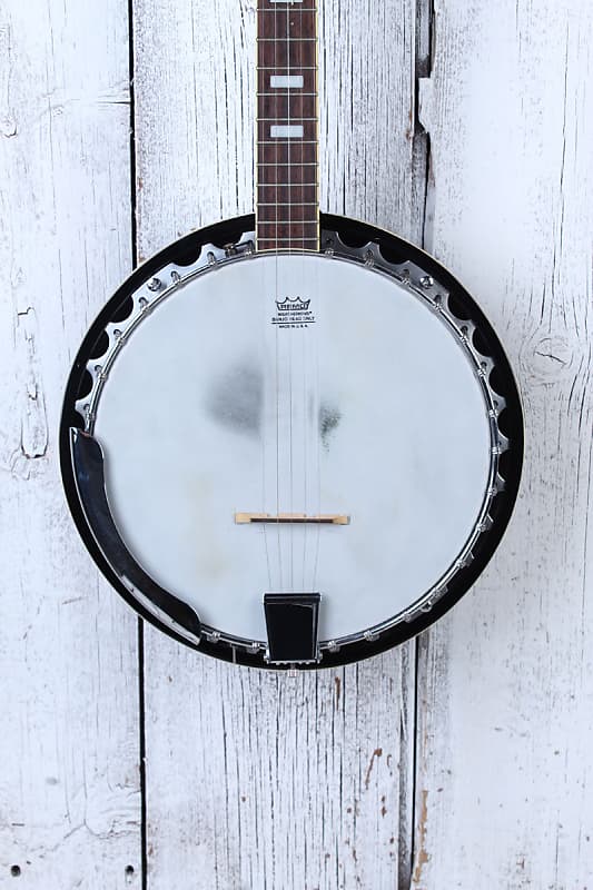 Rogue Banjo 5 String Closed Back Resonator Banjo Sunburst Reverb
