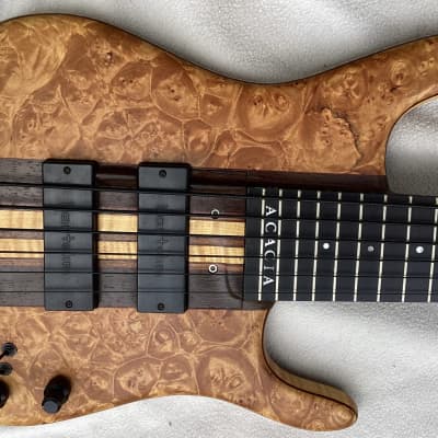Acacia by Matt Friedman Custom 6-String Electric Bass Guitar | Reverb