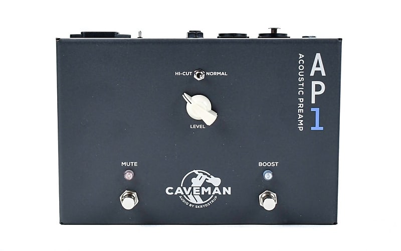 Caveman AP1 Acoustic Preamp | Reverb