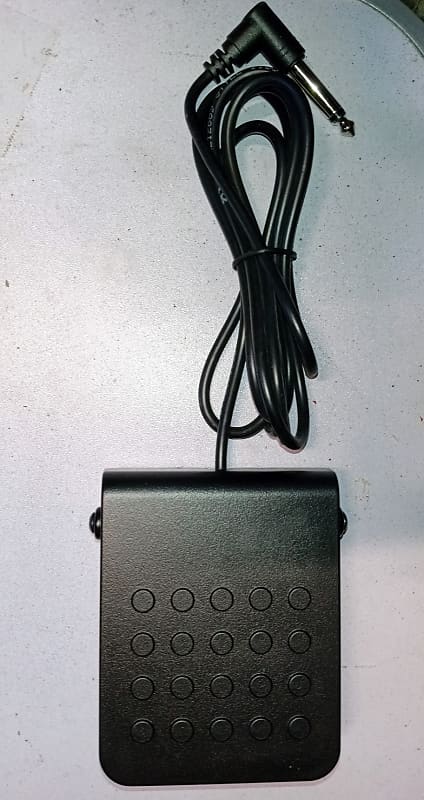 NEW CASIO SP-3 SUSTAIN PEDAL Sp3 | Reverb