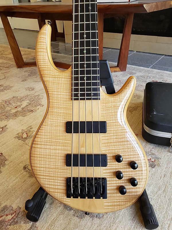 Carvin Icon 5 String Bass | Reverb