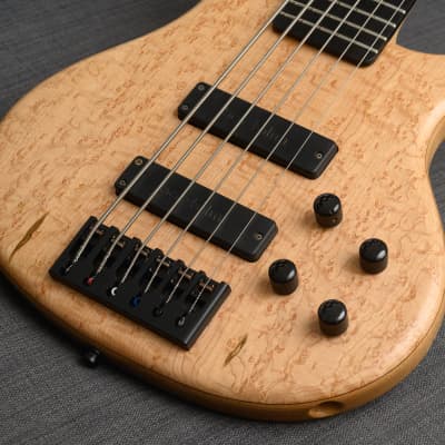 Human Base BaseX 6-string bass guitar | Reverb
