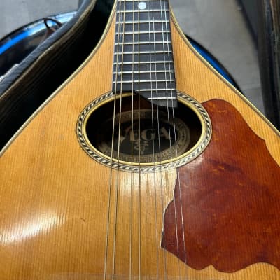 Vega Mandolin 1916-1919 w/Case 1917 1918 | Reverb