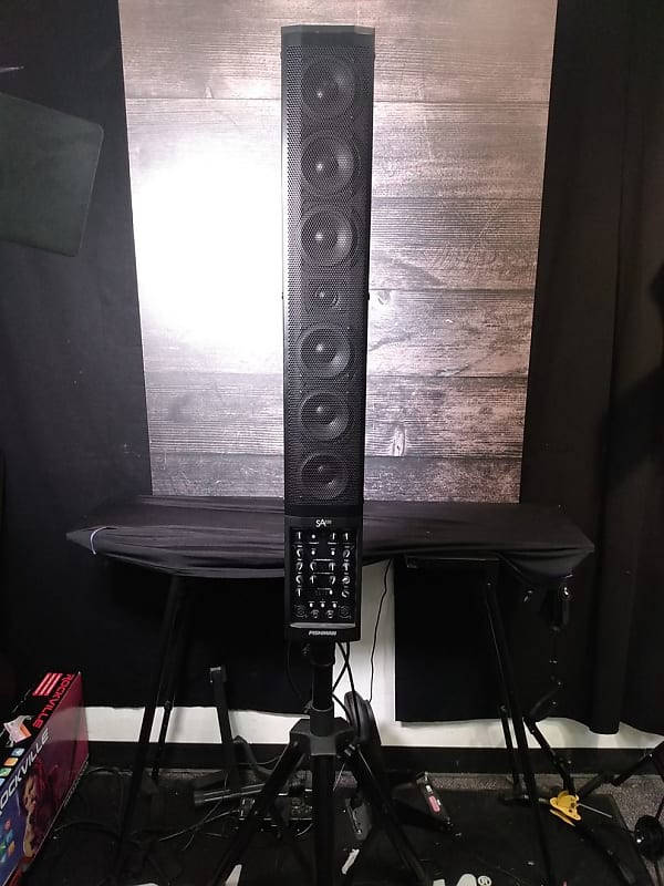 Fishman SA220 Guitar Combo Amplifier (Charlotte, NC) | Reverb