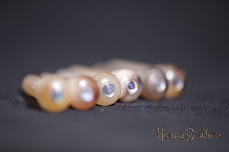 Slotted Buffalo Horn Bridge Pins | Reverb