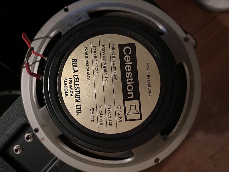 Two Celestion Blackbacks / Greenbacks 1976 (Kurt Mueller | Reverb