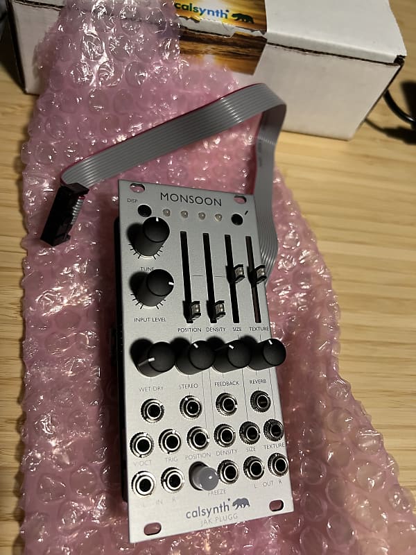 CalSynth Monsoon [Mutable Clouds Clone] 2022 - Silver | Reverb