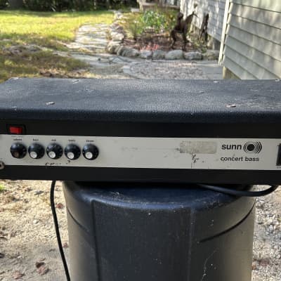 Sunn Concert Bass | Reverb