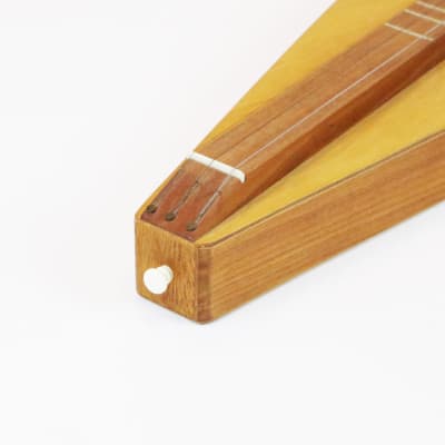 1970s J.C. Shellnut & Company 3-String Appalachian Mountain | Reverb