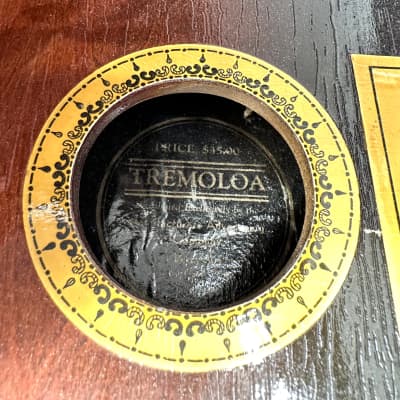 Electric Vintage Hawaiian Tremoloa circuitbent zither | Reverb