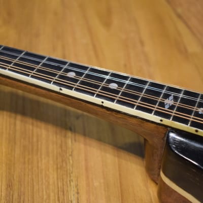 The Dayton Style B mandolin 1910s - black | Reverb Deutschland