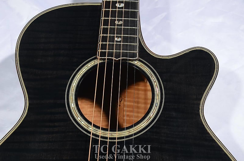 Takamine PT 118 | Reverb
