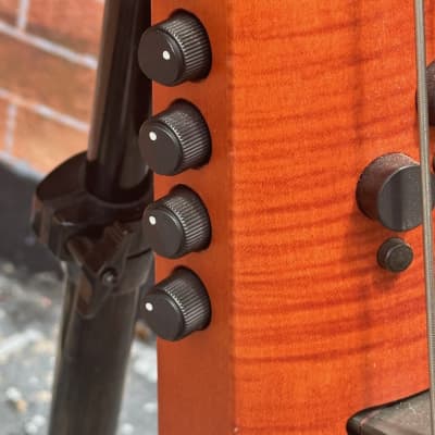 NS Design CR4M 4-String Upright Bass 2015 - a stunning Ned | Reverb