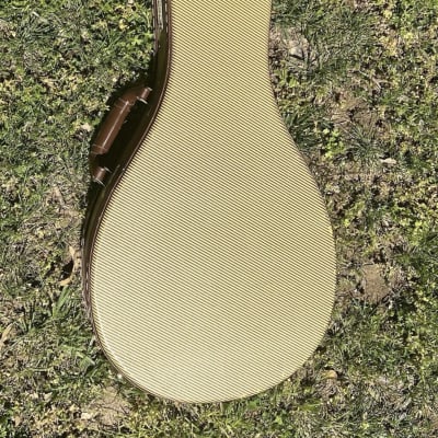 Beard Instruments Celtic mandolin #28 2010-2020 - Gloss | Reverb