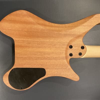 Agile Geodesic Left Handed Headless Guitar | Reverb