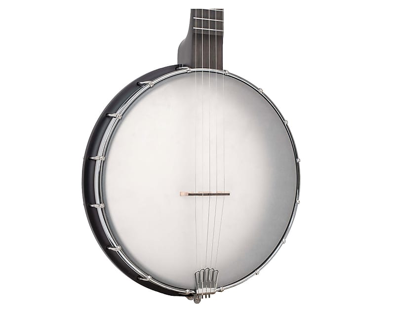 Gold Tone AC-12A 12" A-Scale Acoustic Composite 5-String | Reverb