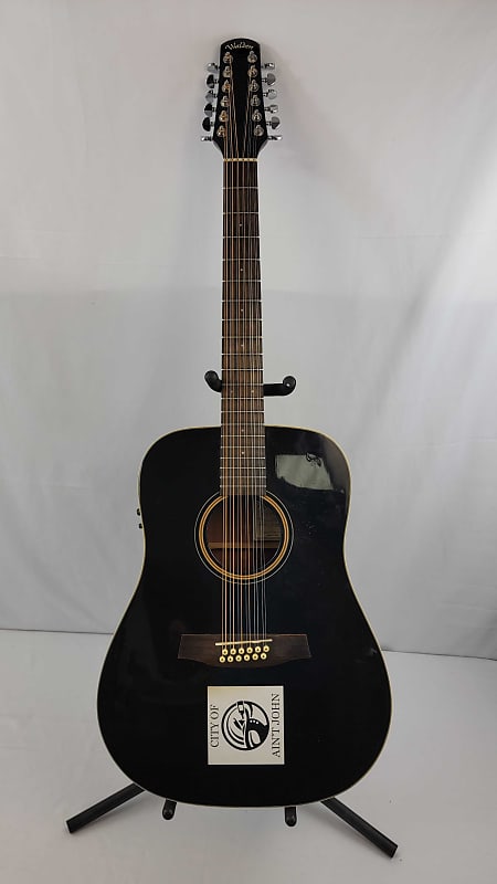 Walden CD552E 12-String Acoustic Electric Black | Reverb