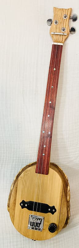 Turtle shell 3 string fretless slide guitar | Reverb