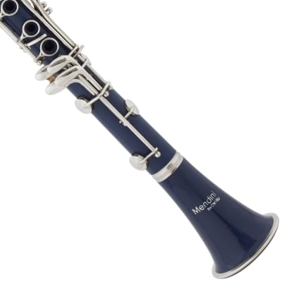 B Flat Beginner Clarinet With 2 Barrels, Case, Stand, Book, | Reverb