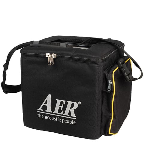 AER ALPHA 40W Acoustic Combo Amp, Carrying Amp Bag | Reverb