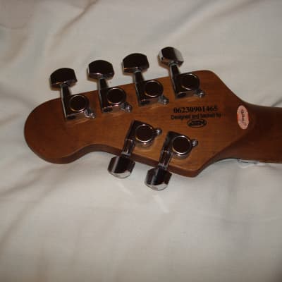 Firefly FFMN - Stripes - Stainless Frets - Floyd Rose | Reverb