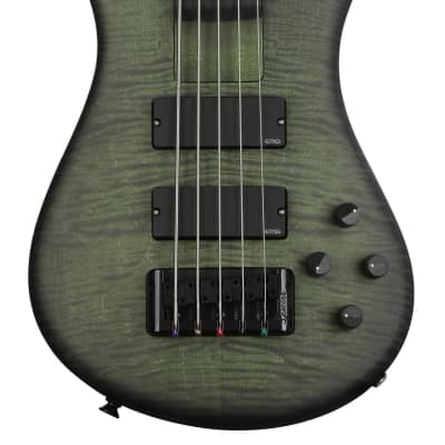 Spector Euro 5 LX Electric 5-String Bass Guitar Haunted Moss | Reverb