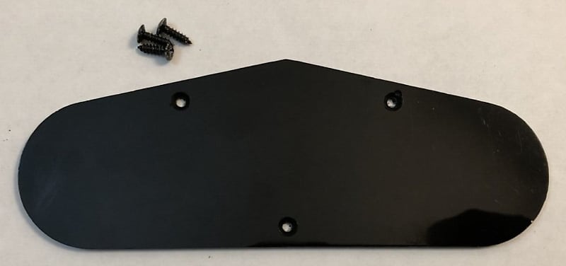 2017 Epiphone Les Paul Special II Control Cavity Cover Plate | Reverb