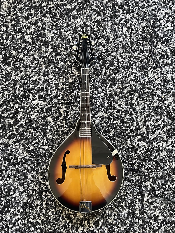 Rogue Fine Instruments Mandolin 2010’s - Sunburst | Reverb
