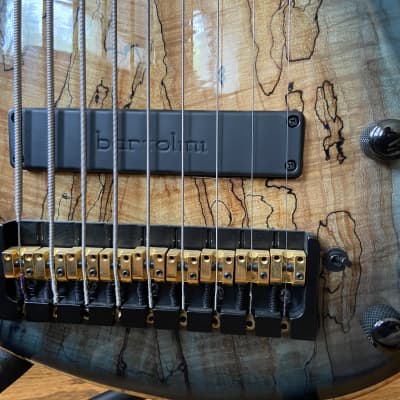 Brubaker KXB-9, 9-string bass, 2009 | Reverb