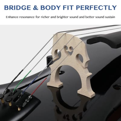 Glarry GC101 4/4 Full-Size Acoustic Cello - Black | Reverb