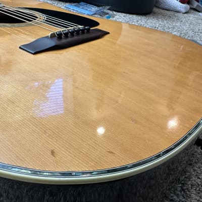 Alvarez 5056 "TREE OF LIFE" 1970s | Reverb