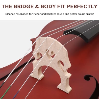 Glarry GC101 4/4 Full-Size Acoustic Cello - Matte | Reverb