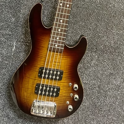 G&L L2500 5-String Bass w/ Binding and Original Hard Case | Reverb