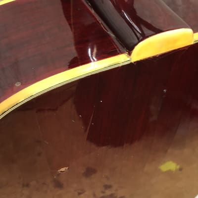 Vintage Alvarez 5024 MIJ acoustic guitar | Reverb