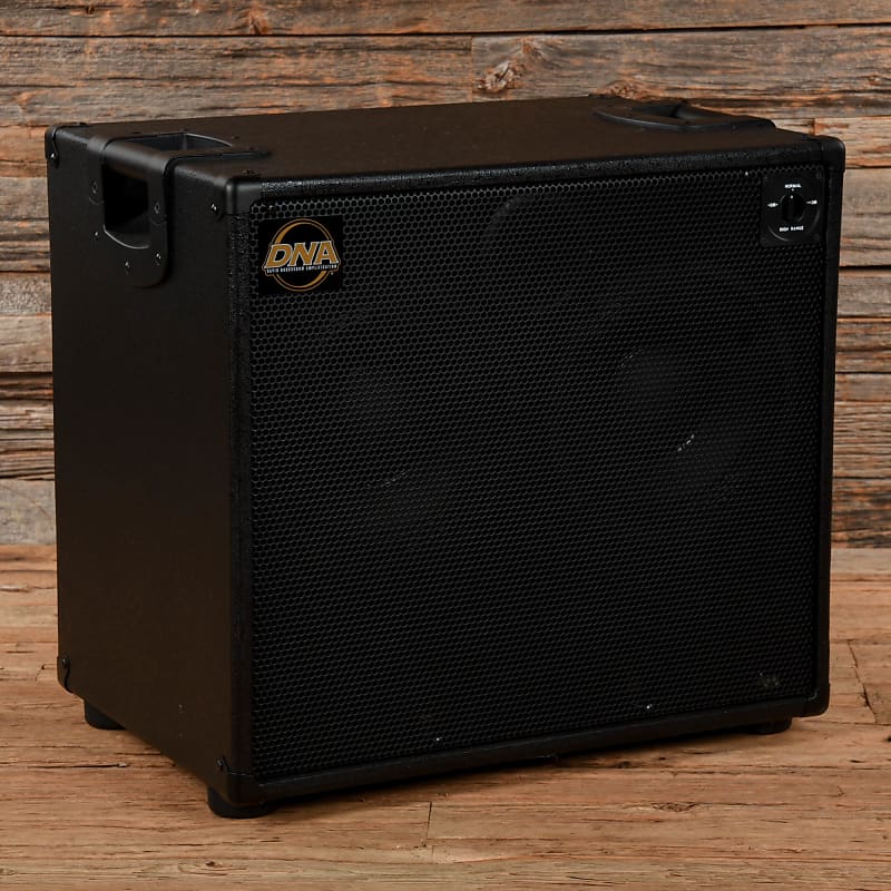 DNA Amps DNS-210 8 Ohm Bass Cabinet | Reverb
