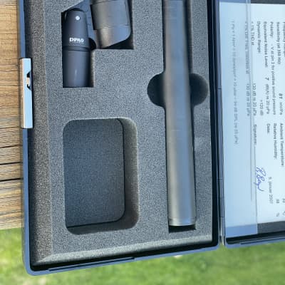 DPA 4041 SP Omnidirectional Condenser microphone | Reverb