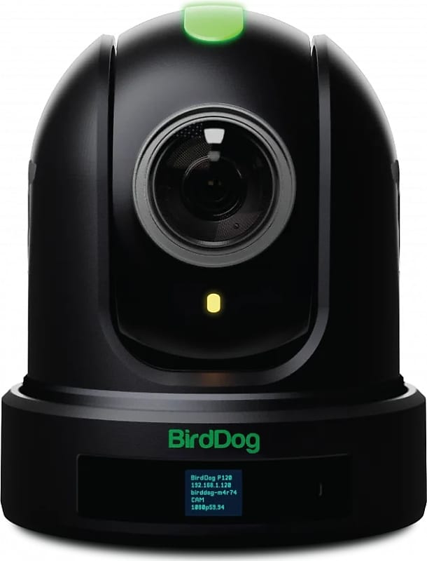 BirdDog P110. 1080P PTZ Camera | Reverb