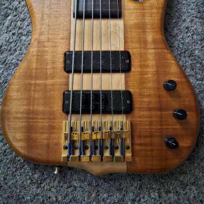 2002 Ritter Raptor Fretless 4-String Bass Marble | Reverb