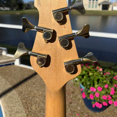 Yamaha BBG5S 5 Sting Bass- Sunburst | Reverb