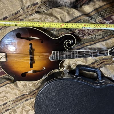 Alvarez A800 F-style Mandolin 1990s - Cremona Brown Sunburst | Reverb